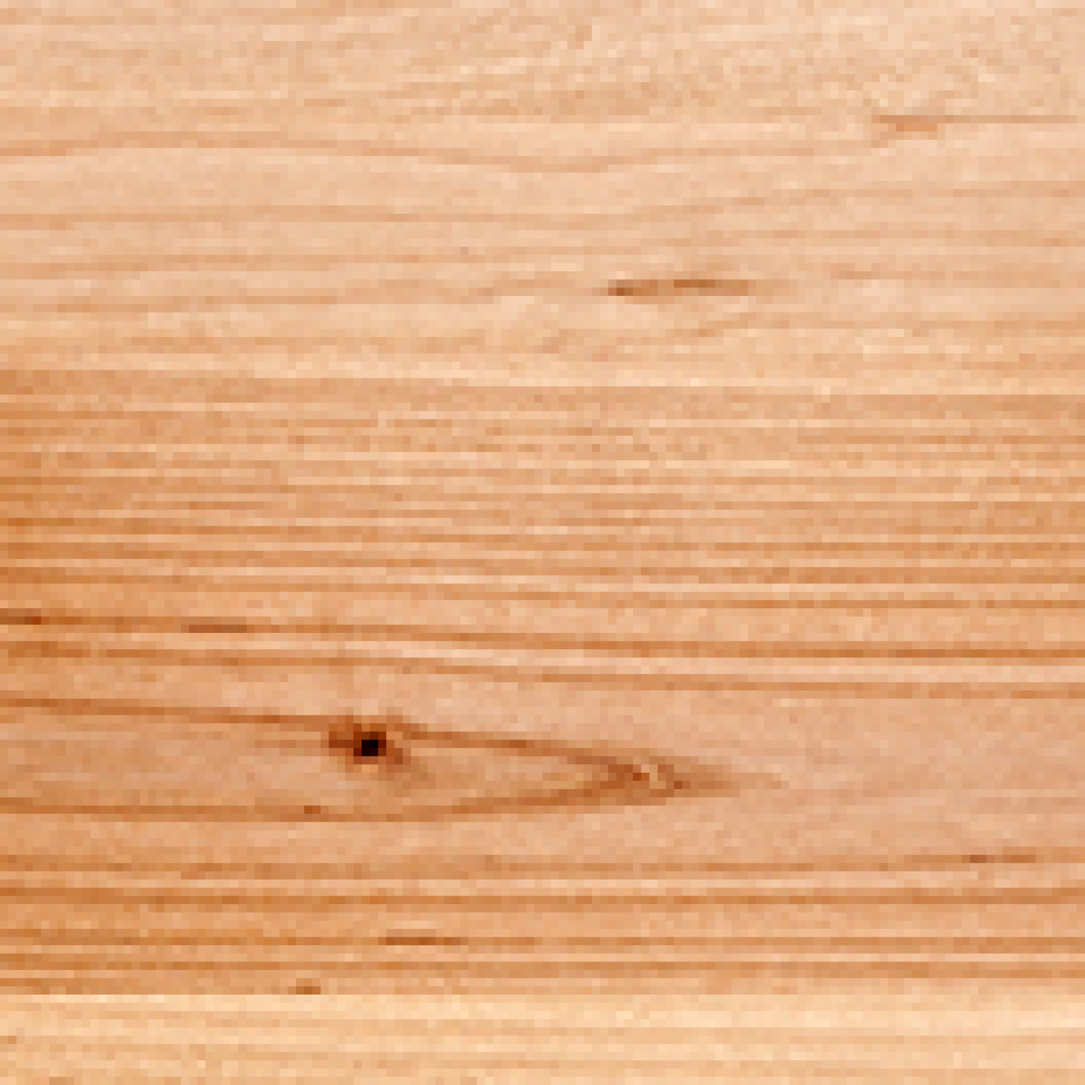 Clear Alder | Dovecreek